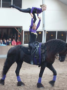 Voltige - Paarden-encyclopedie
