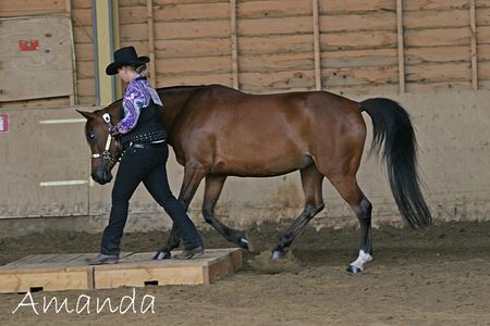 In hand trail - Paarden-encyclopedie