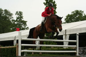 Springen - Paarden-encyclopedie