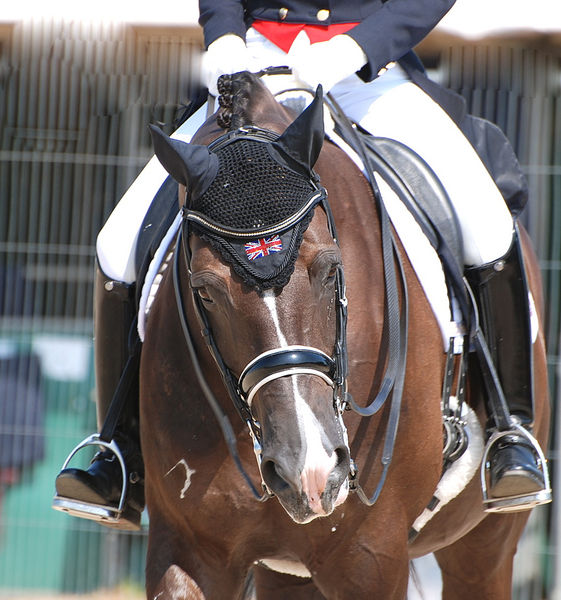 Valegro - Paarden-encyclopedie
