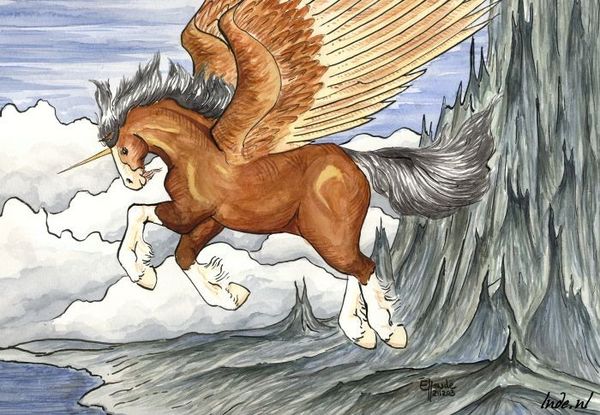 Alicorn - Paarden-encyclopedie