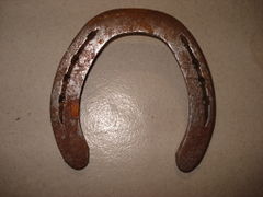 Hoefijzer - Paarden-encyclopedie