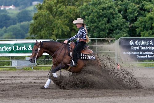 Reining - Paarden-encyclopedie