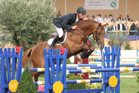 Springpaard - Paarden-encyclopedie