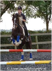 Tinker - Paarden-encyclopedie